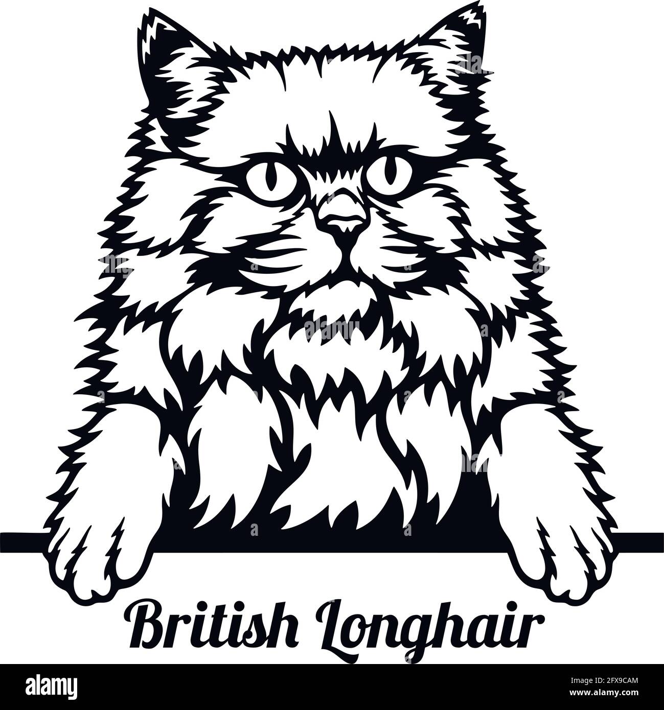 British Longhair Cat - Cat breed. Cat breed head isolated on a white ...