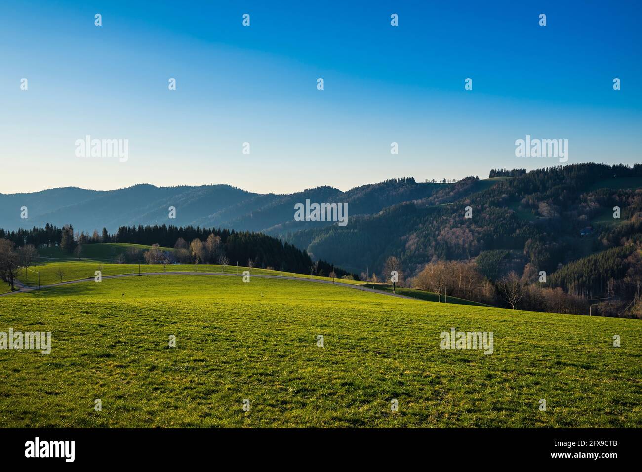 Germany, Schwarzwald green pasture panorama surrounded by endless ...