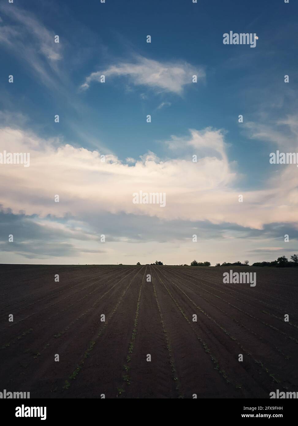 Vertical farming concept hi-res stock photography and images - Alamy