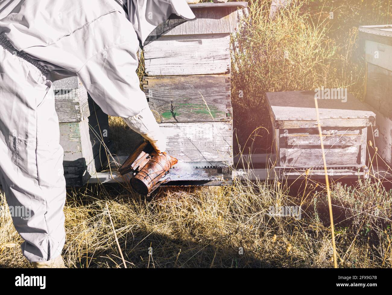 Stunner hi-res stock photography and images - Alamy