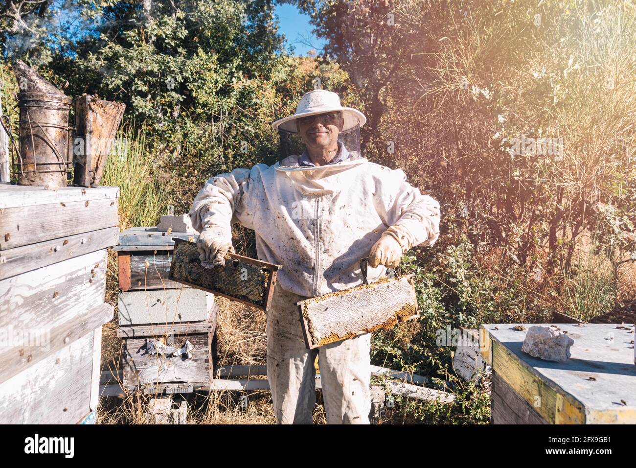 middle-aged beekeeper in full sting protection smiling and holding two ...