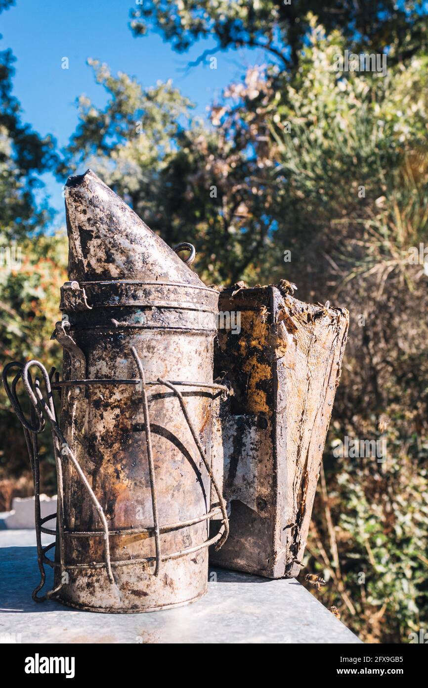 Stunner hi-res stock photography and images - Alamy