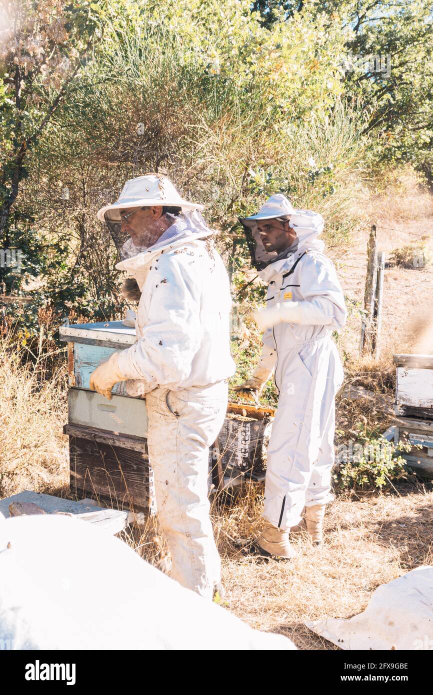Beekeepers overalls hi-res stock photography and images - Alamy