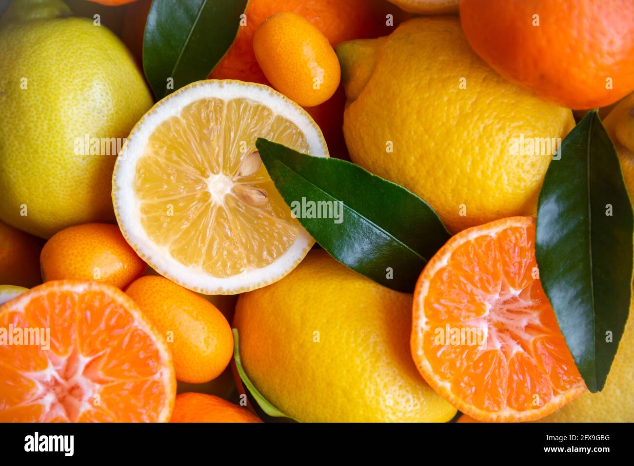 Mixed citrus fruits, ripe and fresh with green leaves Stock Photo - Alamy