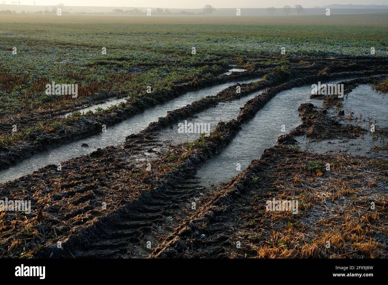 Frozen mud hi-res stock photography and images - Alamy