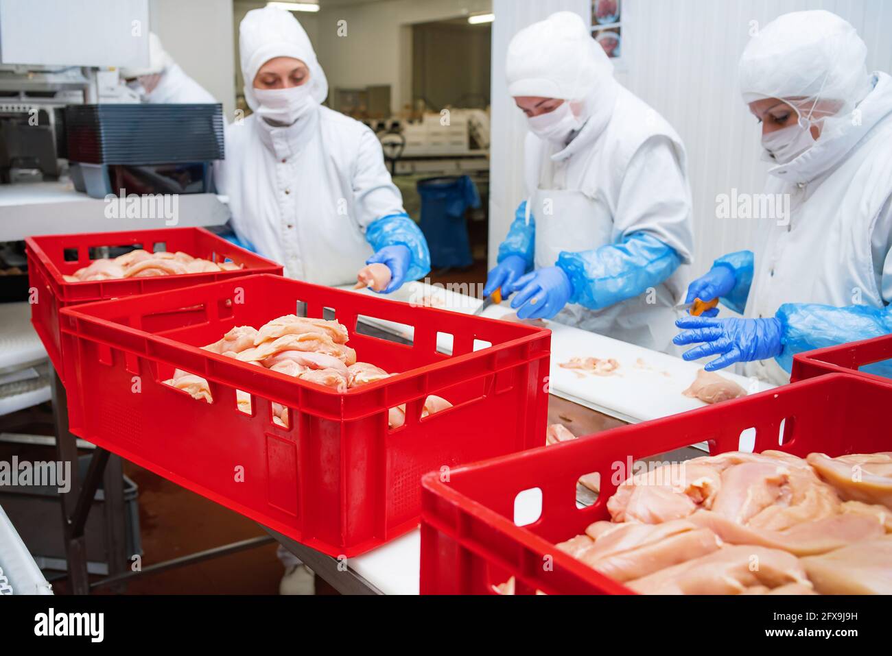 Food products meat chicken in plastic packaging on the conveyor.Chicken ...