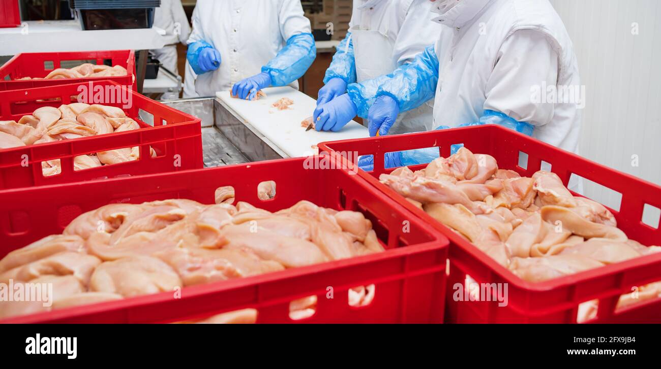 Food products meat chicken in plastic packaging on the conveyor.Chicken ...