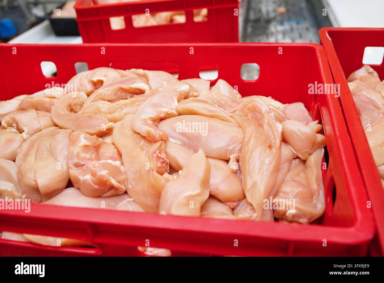 Food products meat chicken in plastic packaging on the conveyor.Chicken ...