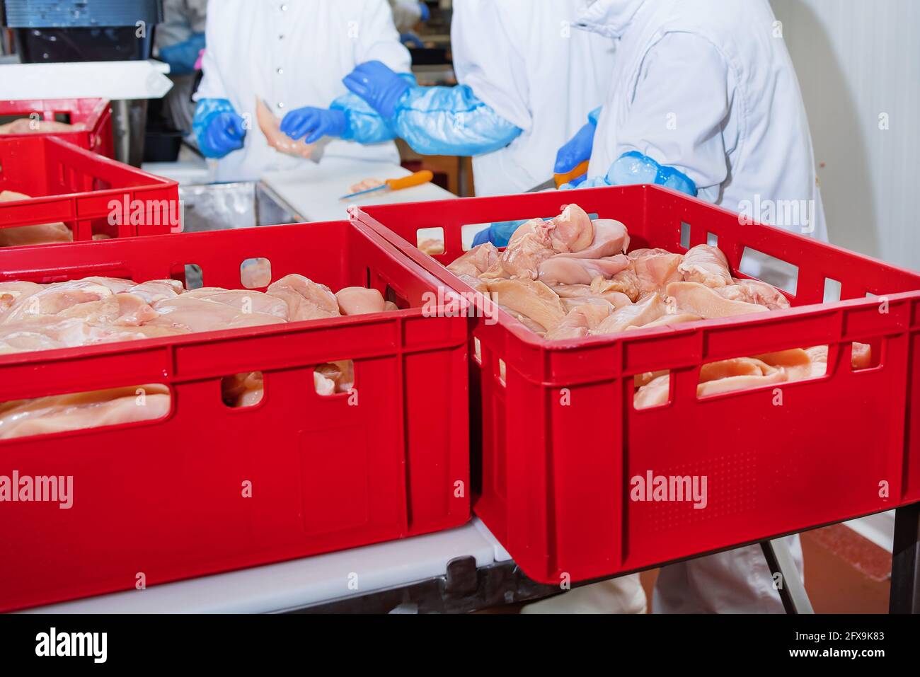 Meat processing plant. Production line of meat.Line for the production ...
