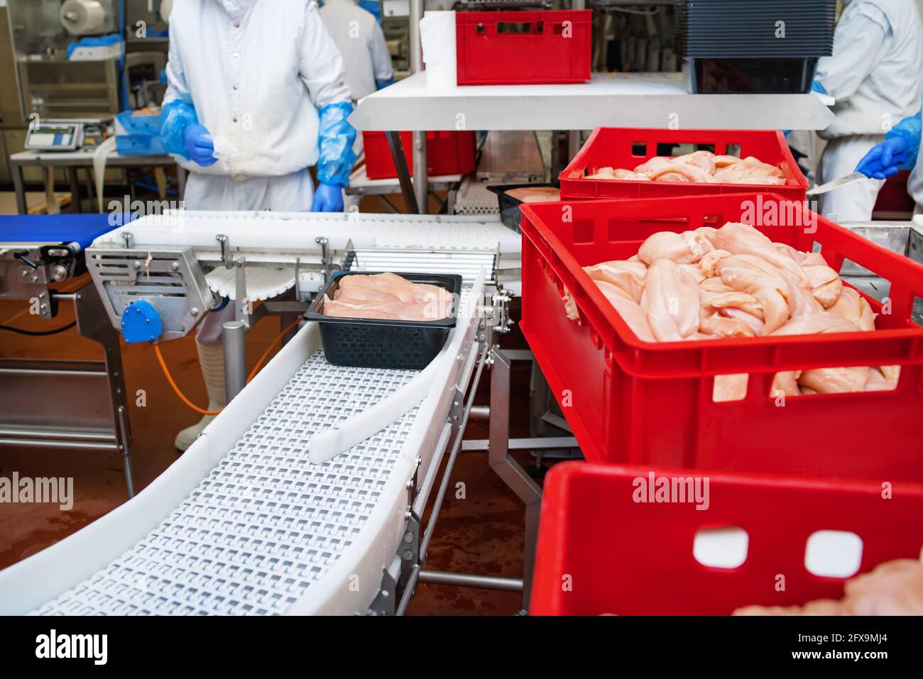 Chicken fillet production line . Factory for the production of food ...