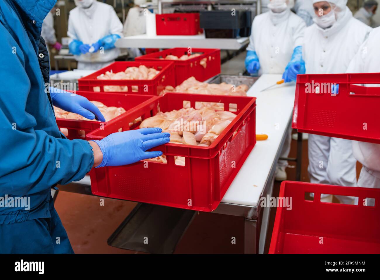 Meat processing plant. Production line of meat.Line for the production ...