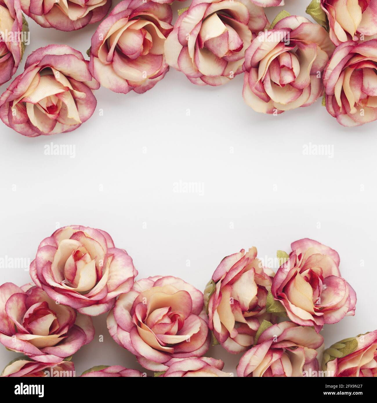 White background decorated with roses with copy space Stock Photo - Alamy