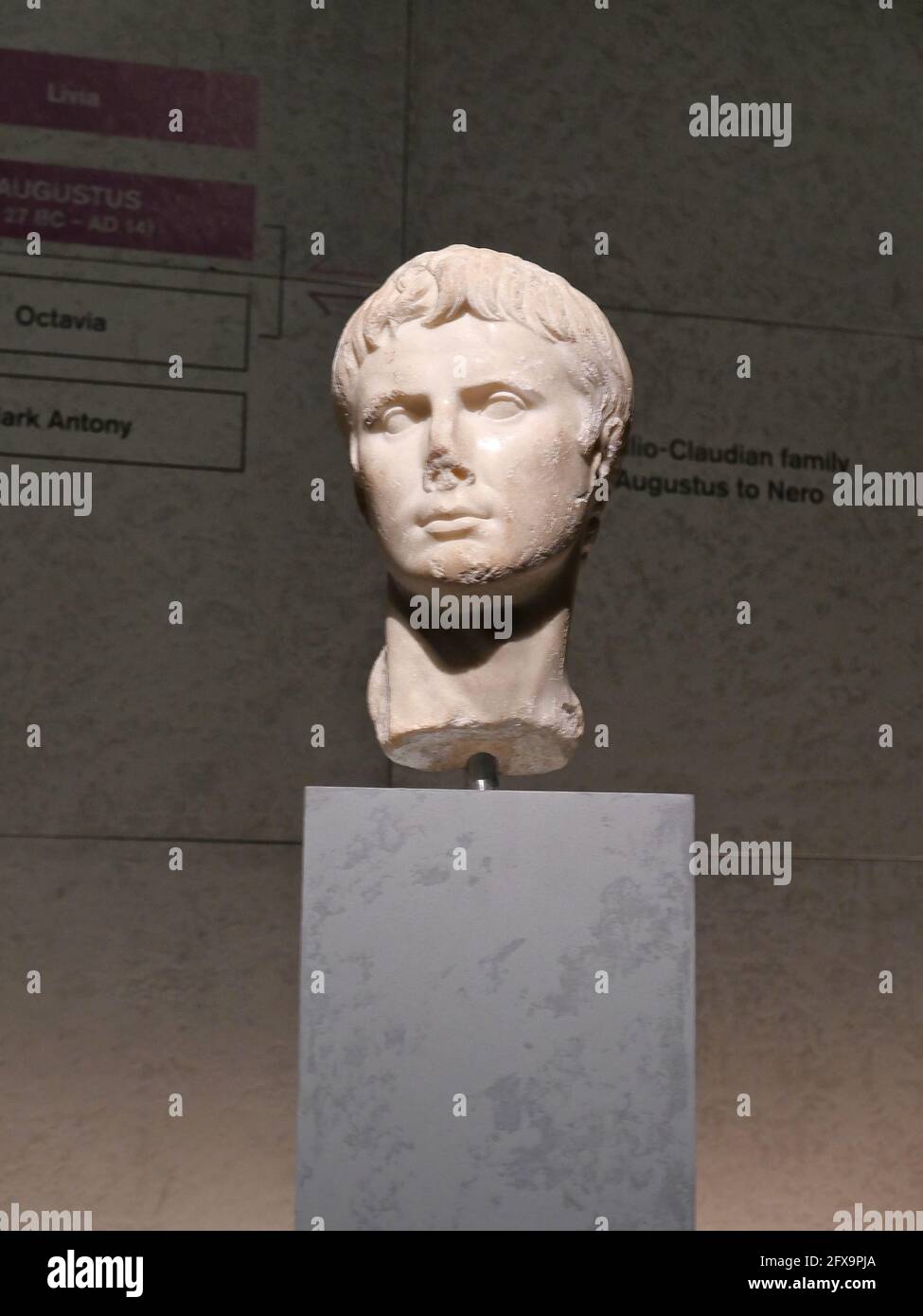 Nero is known as one of Rome's most infamous rulers, notorious for his ...