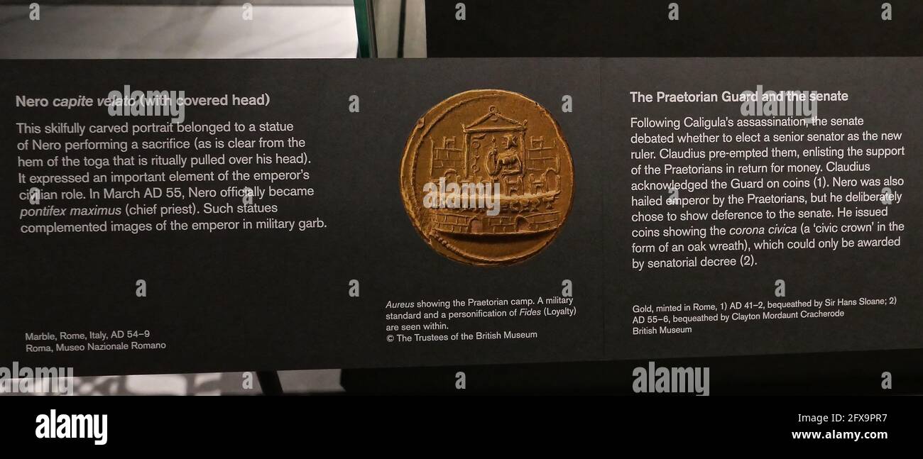 Nero is known as one of Rome's most infamous rulers, notorious for his ...