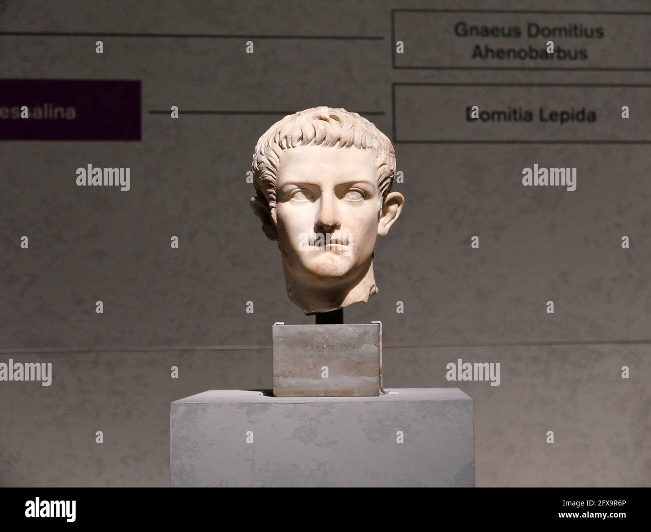 Nero is known as one of Rome's most infamous rulers, notorious for his ...