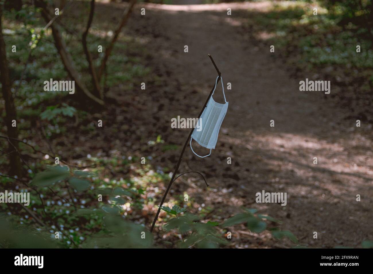 Sanitary blue mask hanging on a stick in the middle of a road that goes ...