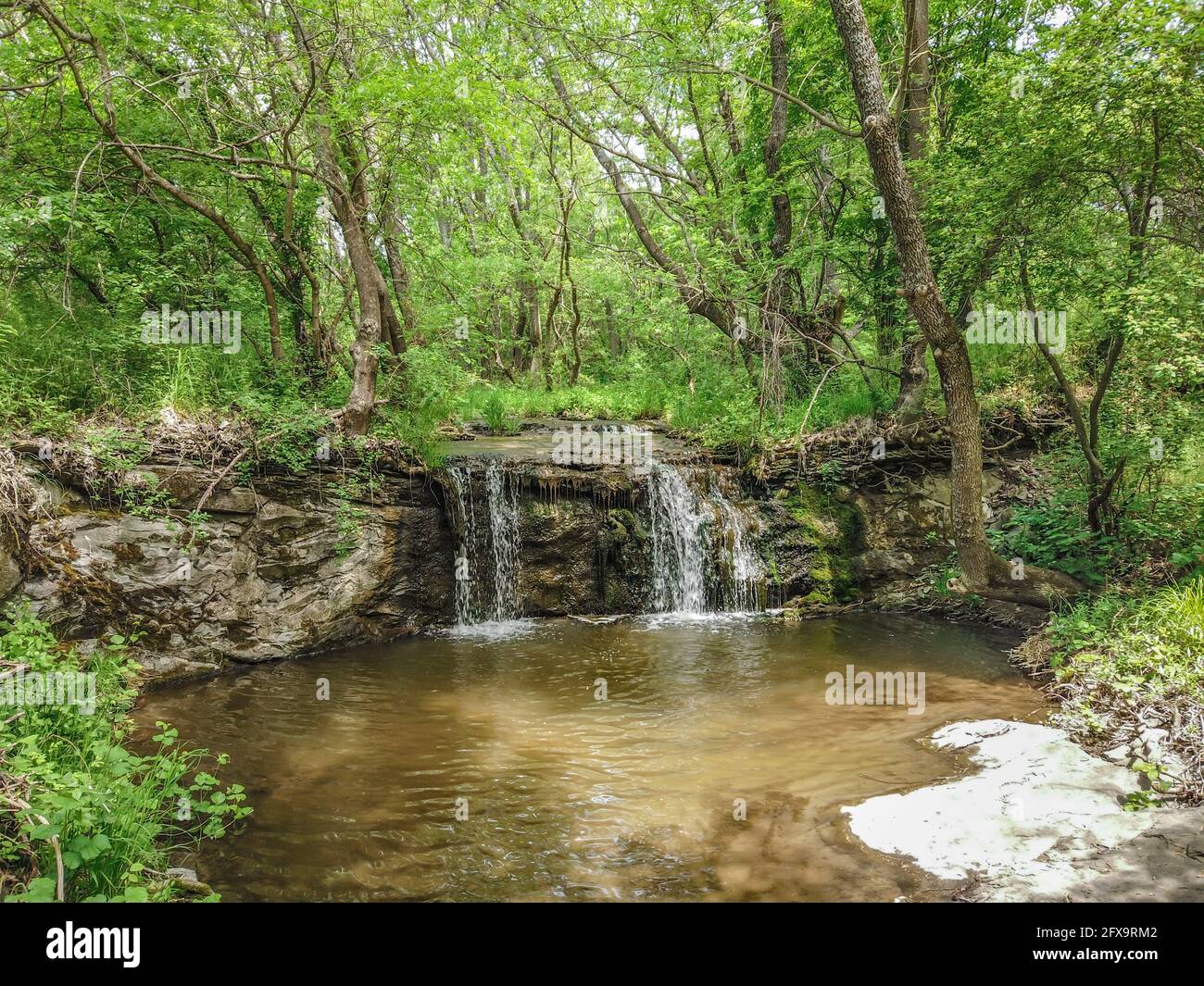 Beautiful scenery of flowing Kamchiya river in Bulgaria Stock Photo - Alamy
