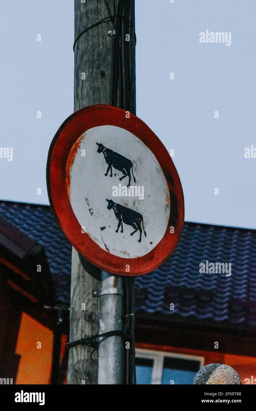 Vertical shot of cattle entrance prohibited sign Stock Photo - Alamy
