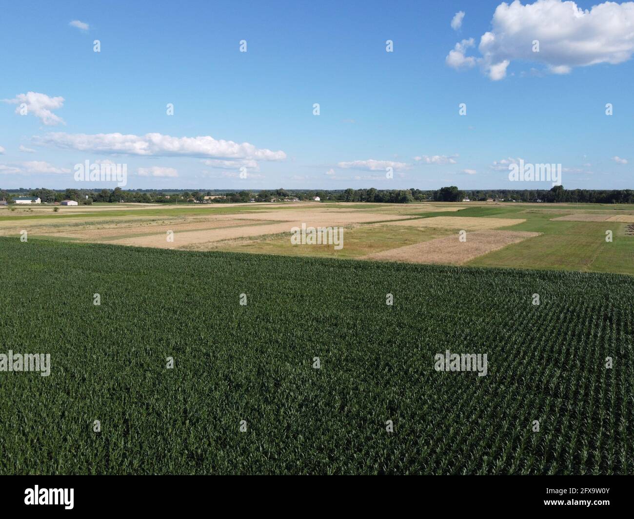 Beautiful agricultural landscape, open field with blue sky and white ...