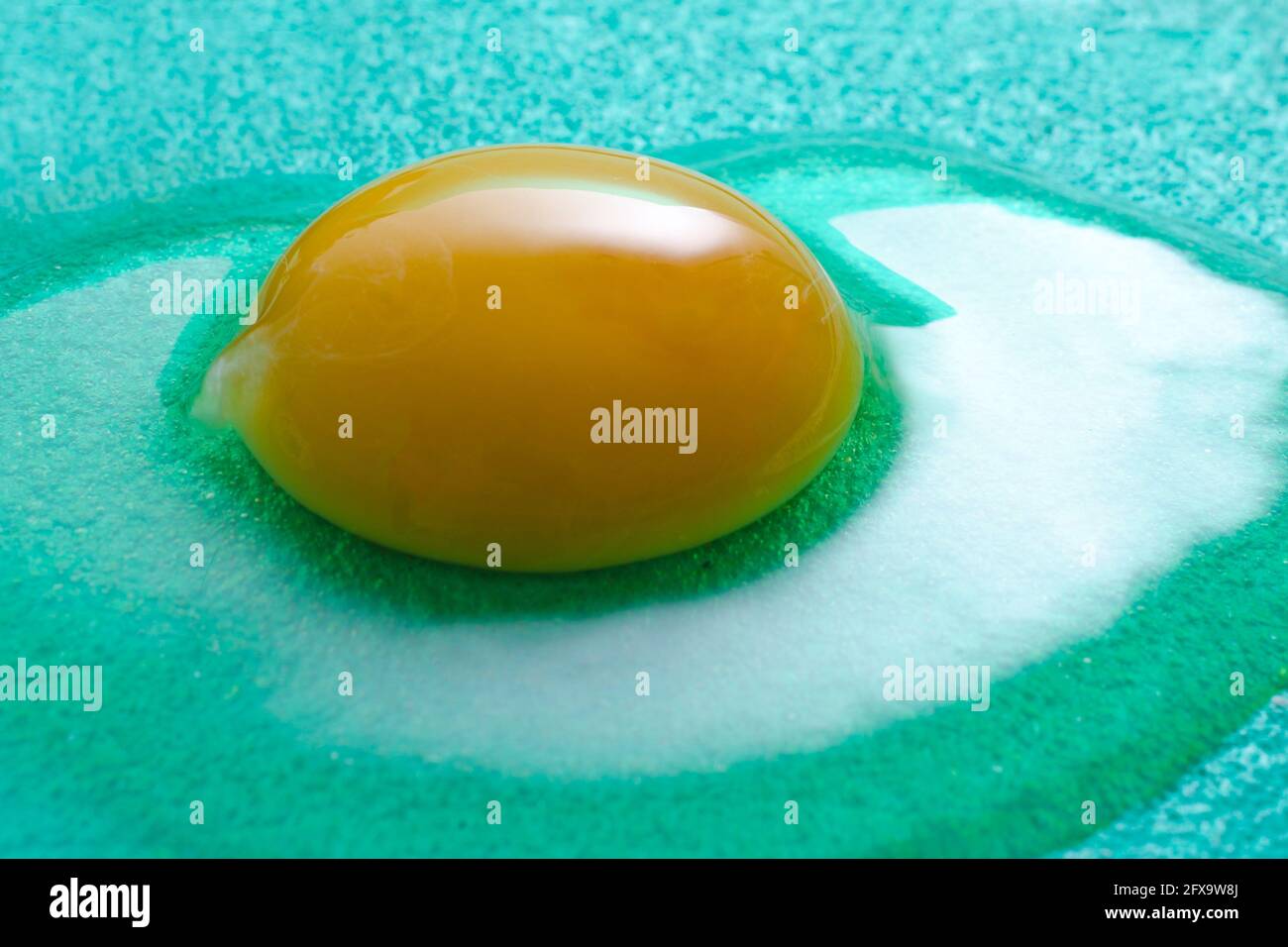 raw egg white and yolk close-up isolated Stock Photo - Alamy