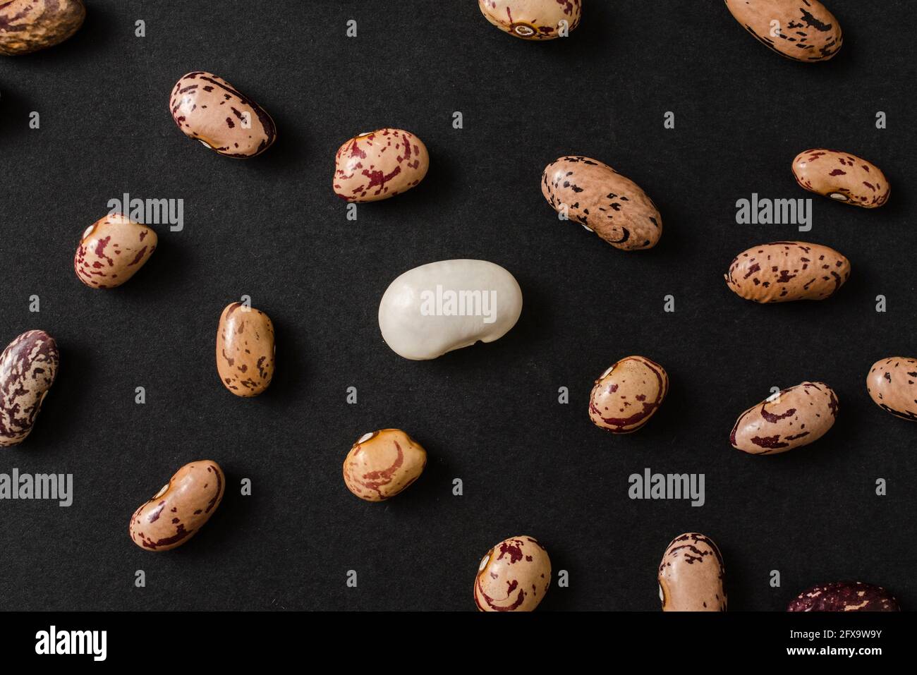 Different kinds of bean seeds background Stock Photo - Alamy