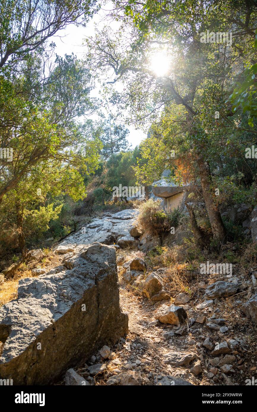 Footpath among trees and ruins of the ancient city of Termessos without ...