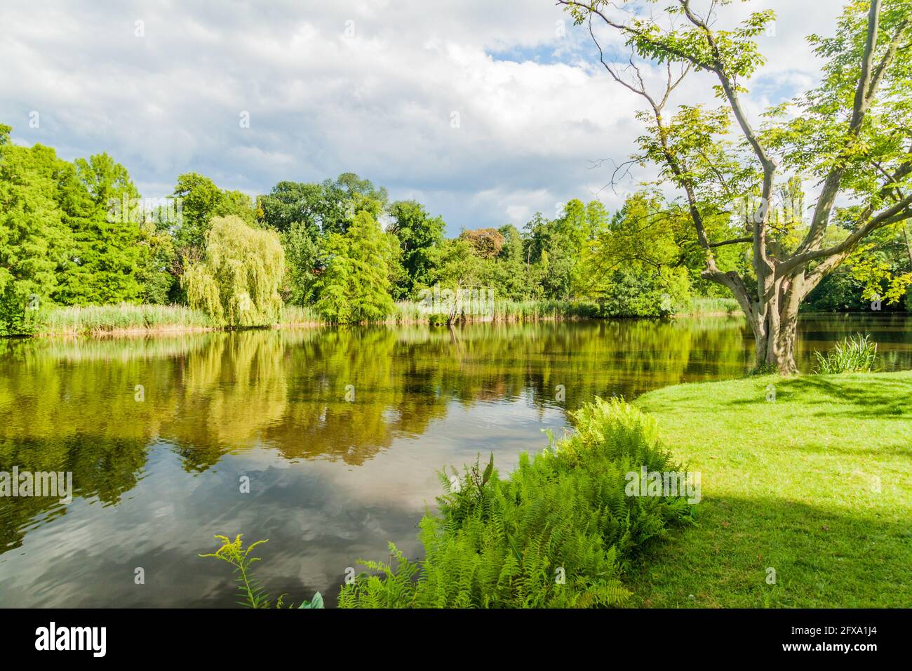 Pond in Sanssouci park in Potsdam, Germany Stock Photo - Alamy