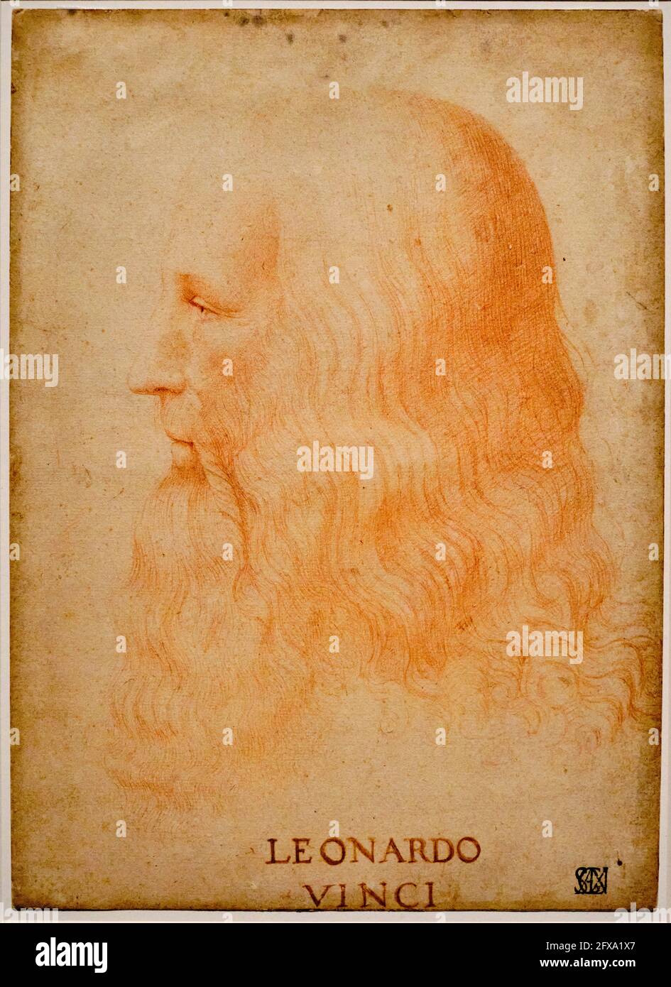 Italy, Milan, Veneranda Biblioteca Ambrosiana, Portrait of Leonardo da ...