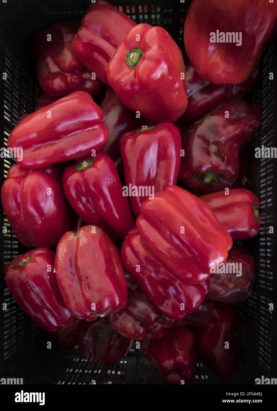 Bell Grove High Resolution Stock Photography and Images - Alamy