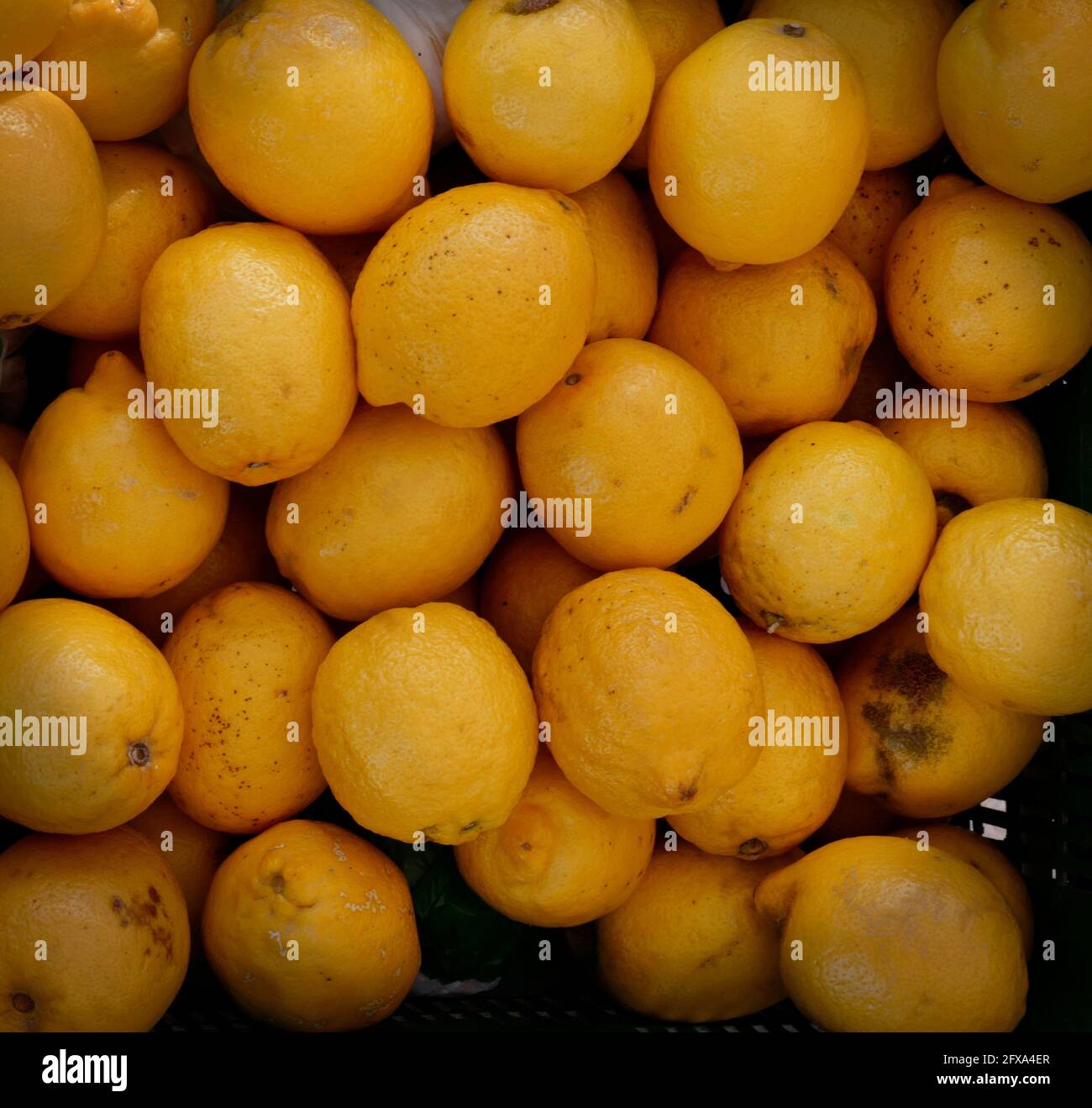 Lemon lot hi-res stock photography and images - Alamy