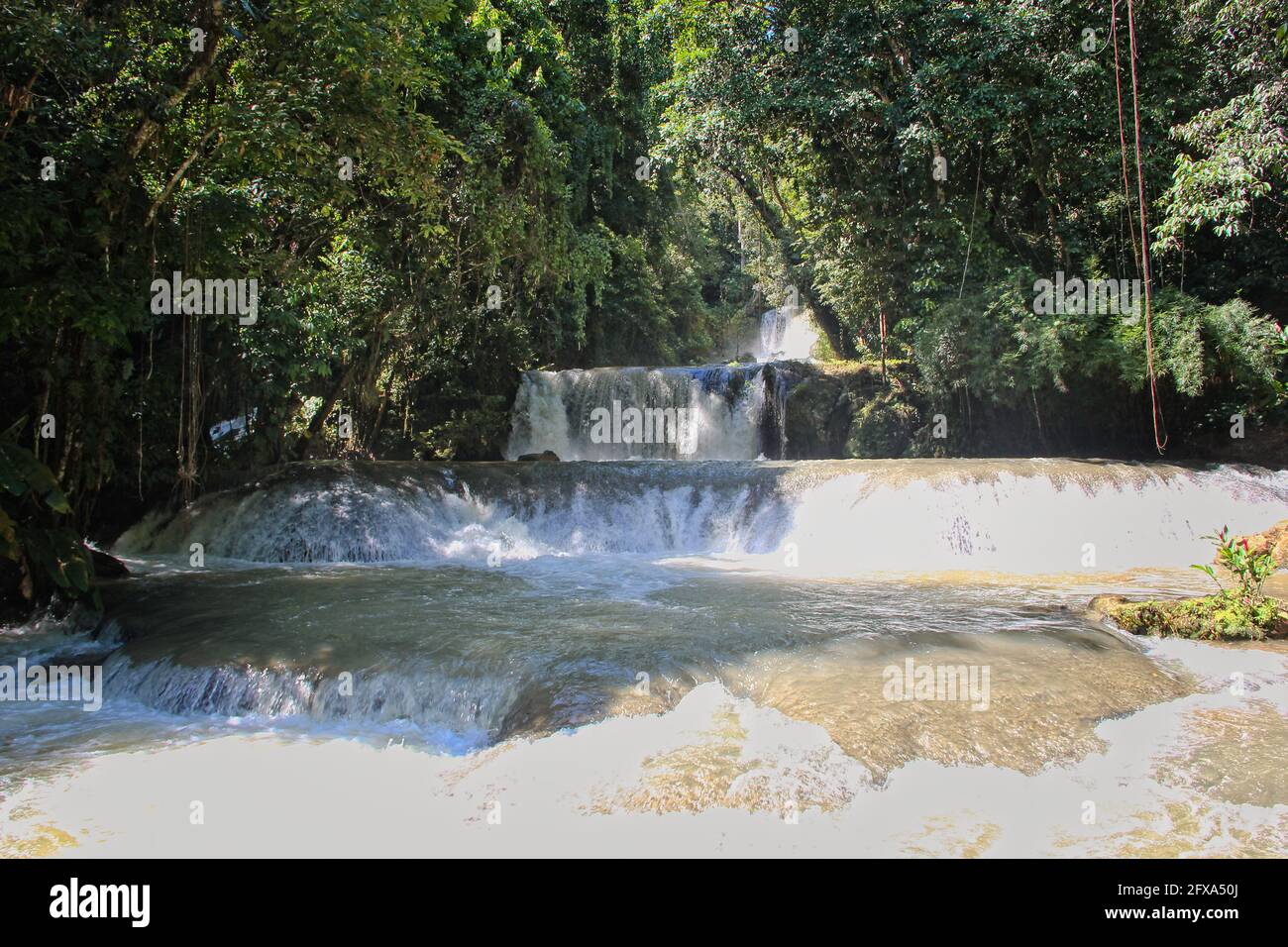 The Dunns's River Falls in Jamaica in the Dunn's River Falls Park Stock ...