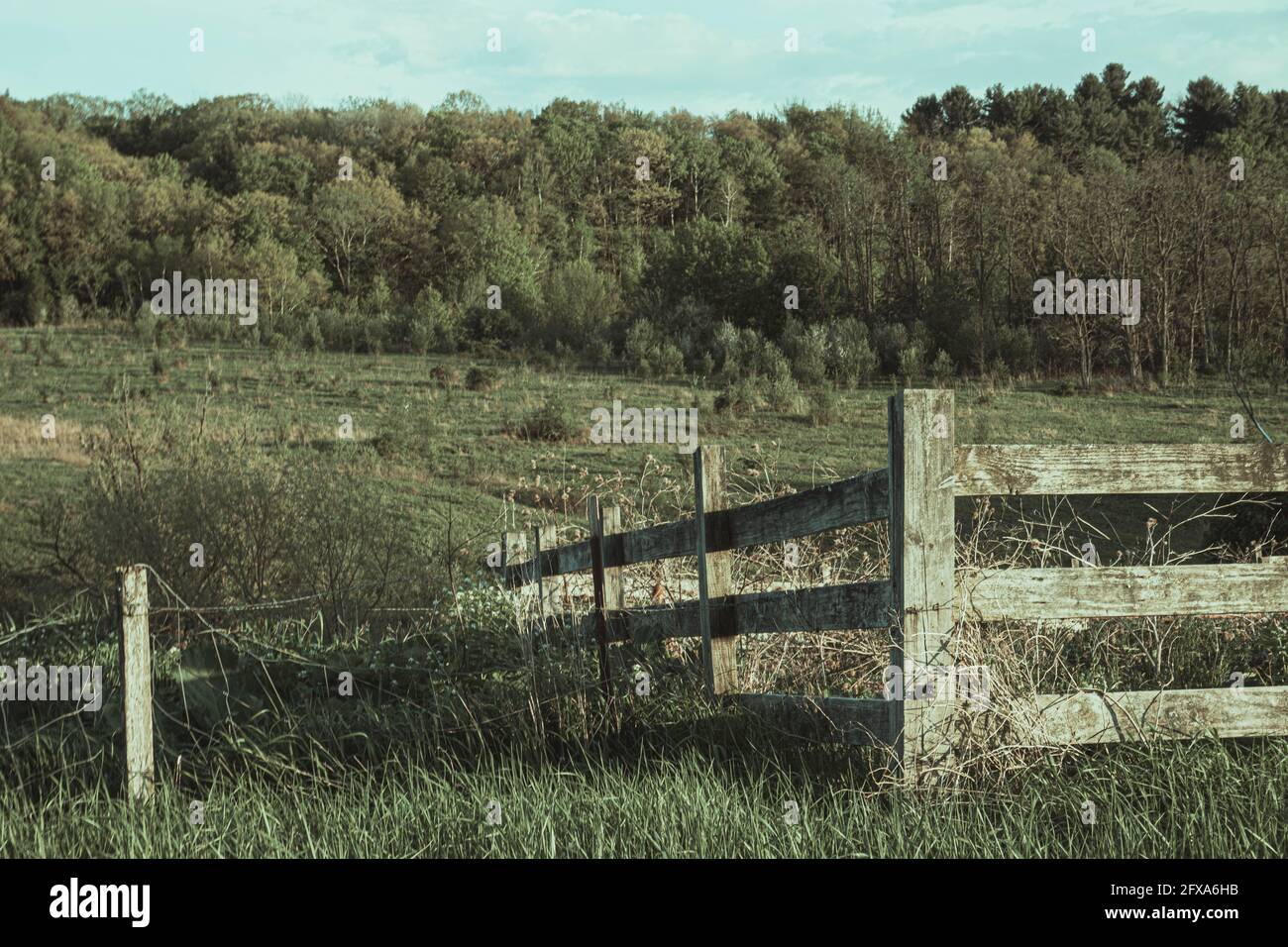 Golden hour barn hi-res stock photography and images - Alamy