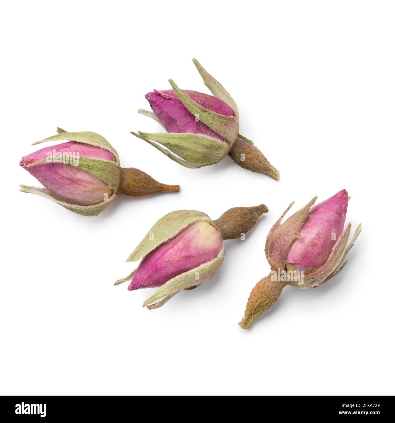 Taste buds hi-res stock photography and images - Alamy