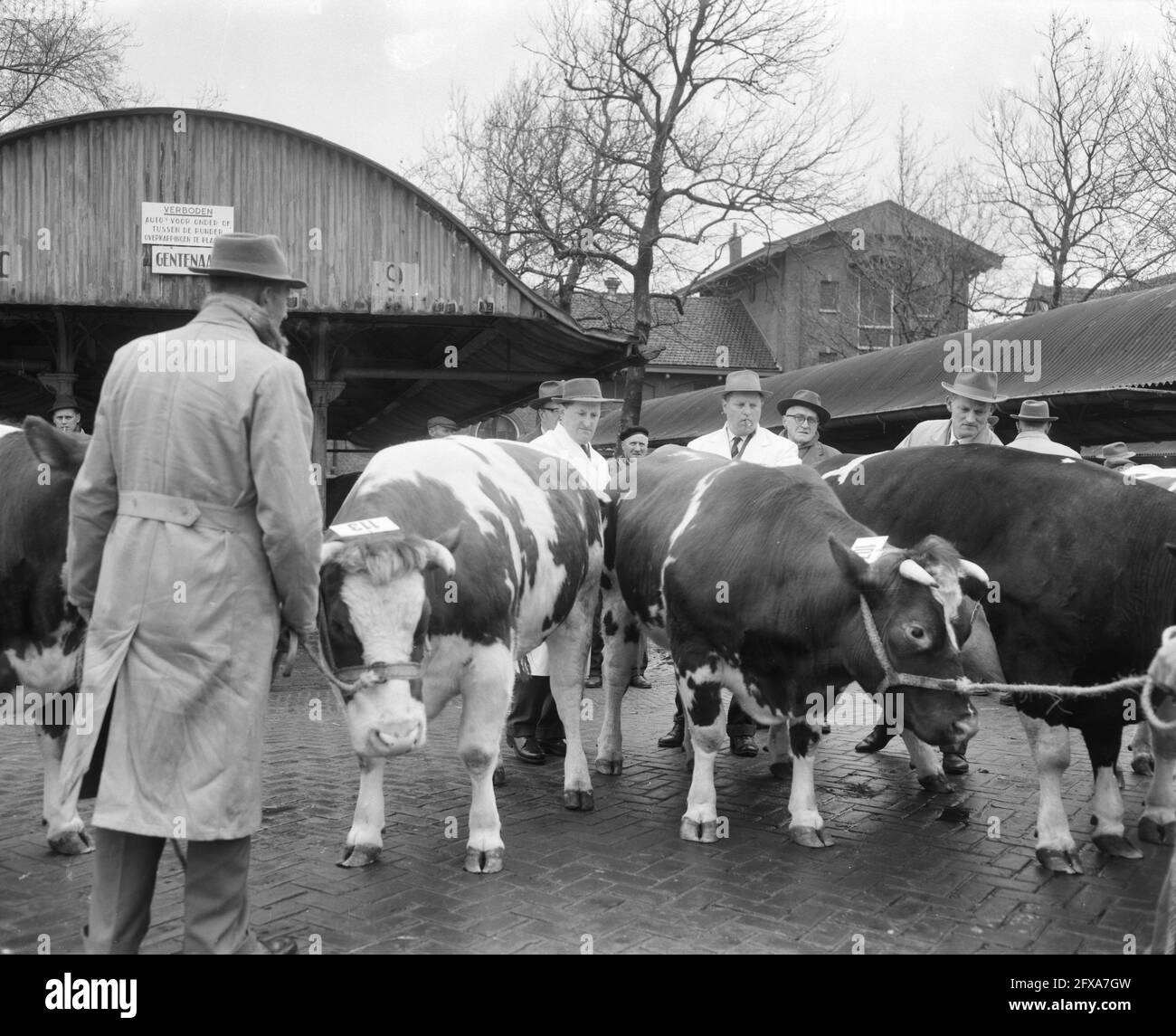 Weighs 820 kilos hi-res stock photography and images - Alamy