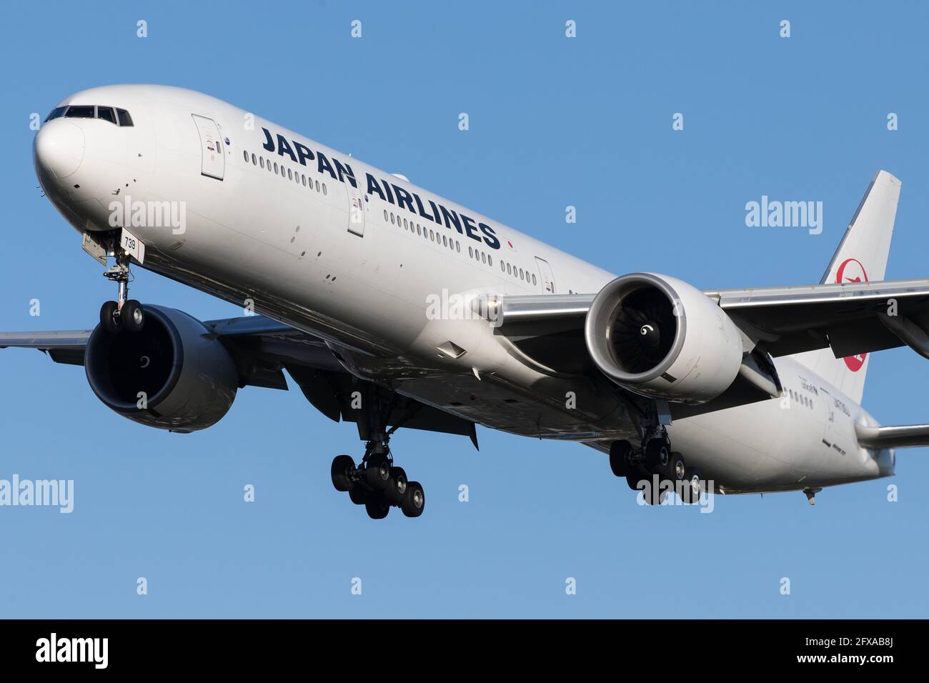 LONDON, UNITED KINGDOM - Feb 11, 2020: Japan Airlines (JL / JAL ...