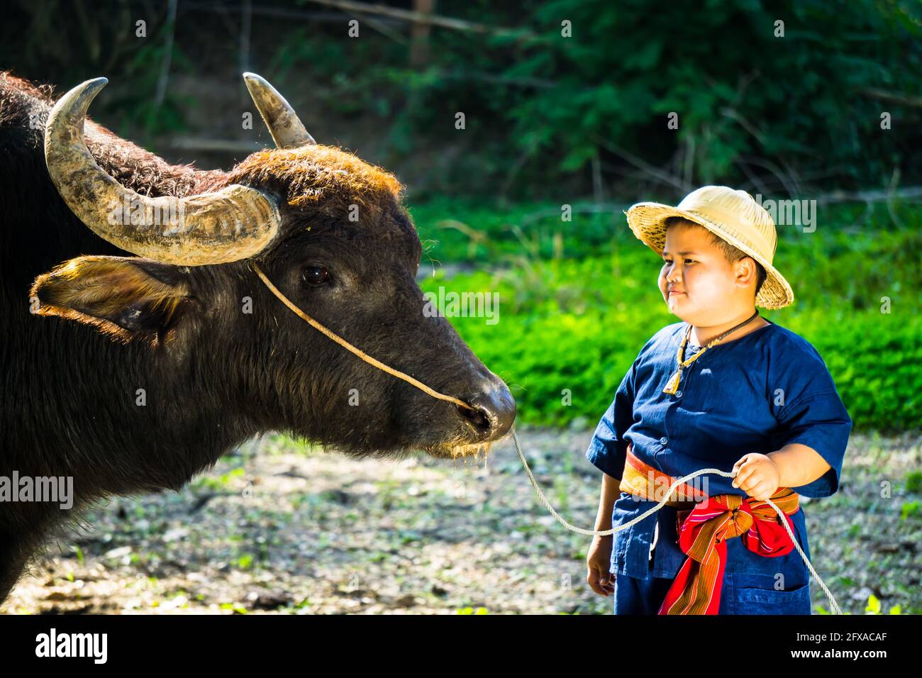 Farmer riding a buffalo on the field at countryside. this lifestyle ...