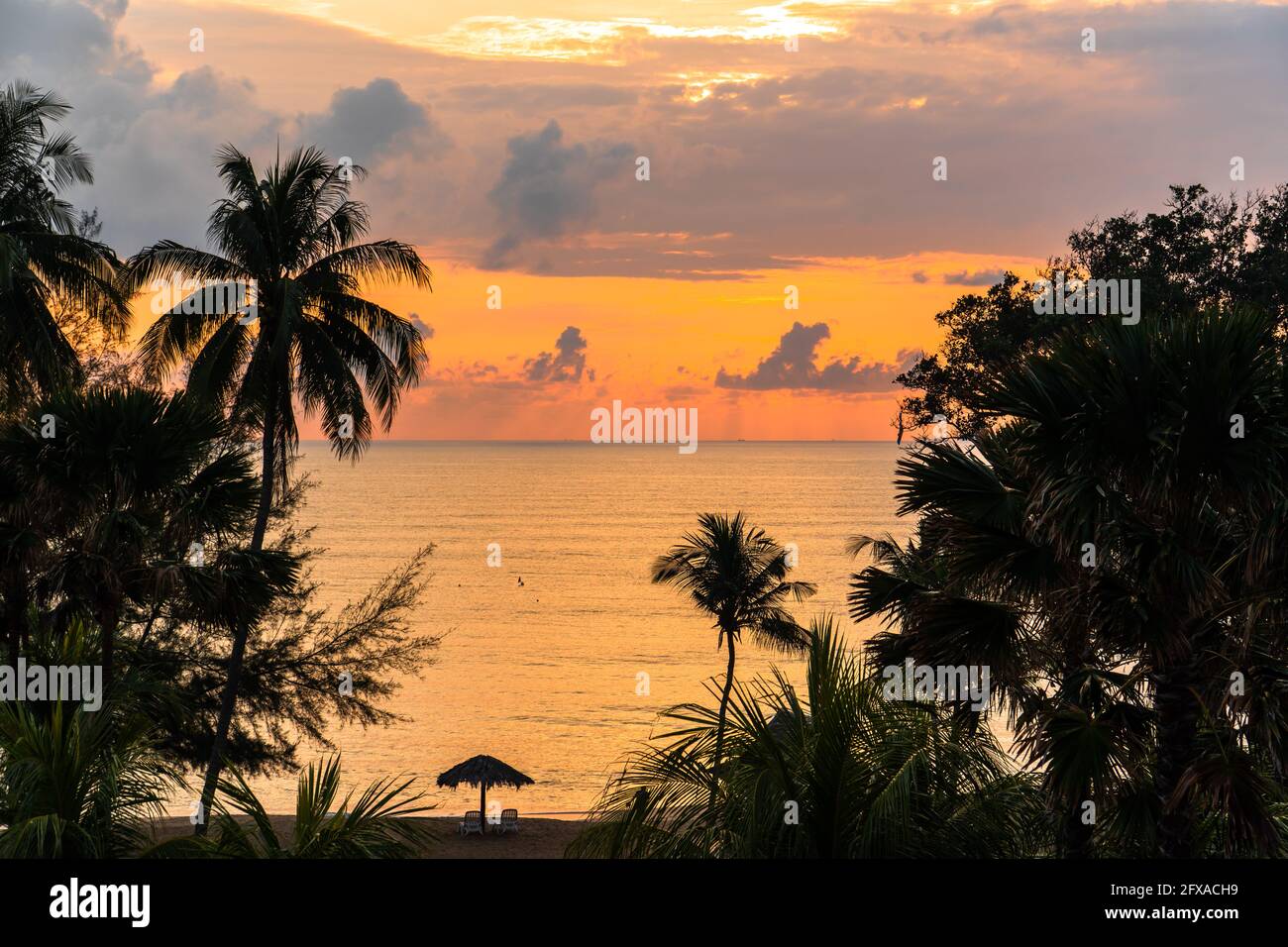 Beautiful sunset sky on the sea with silhouette trees. Morning sunrise ...
