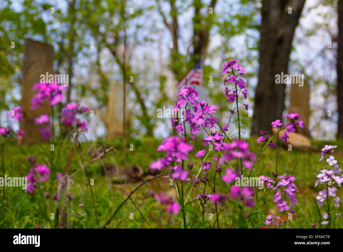 Floral hill cemetery High Resolution Stock Photography and Images - Alamy