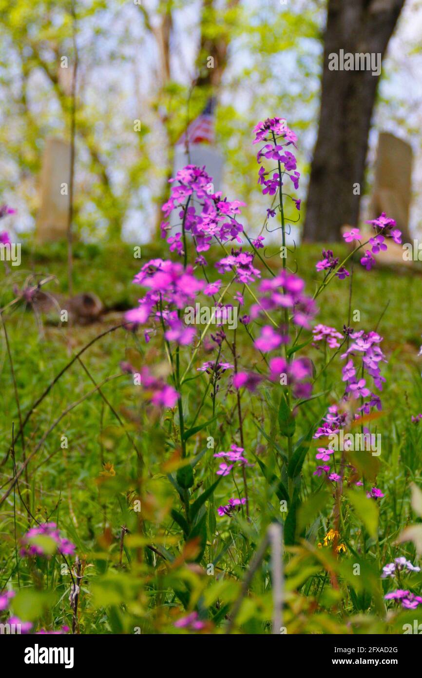 Floral hill cemetery hi-res stock photography and images - Alamy