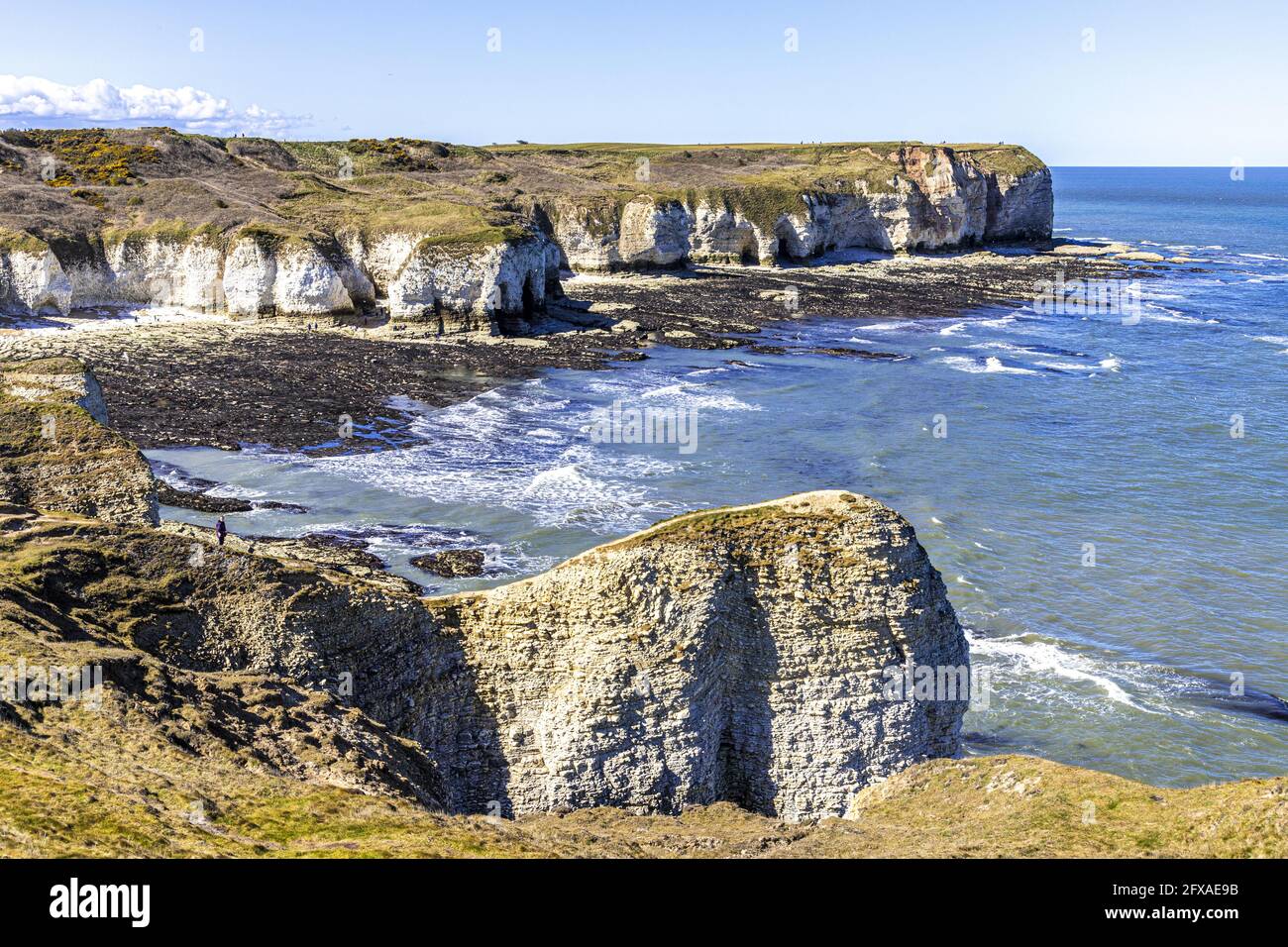 The chalk cliffs at Flamborough Head, East Riding of Yorkshire, England ...