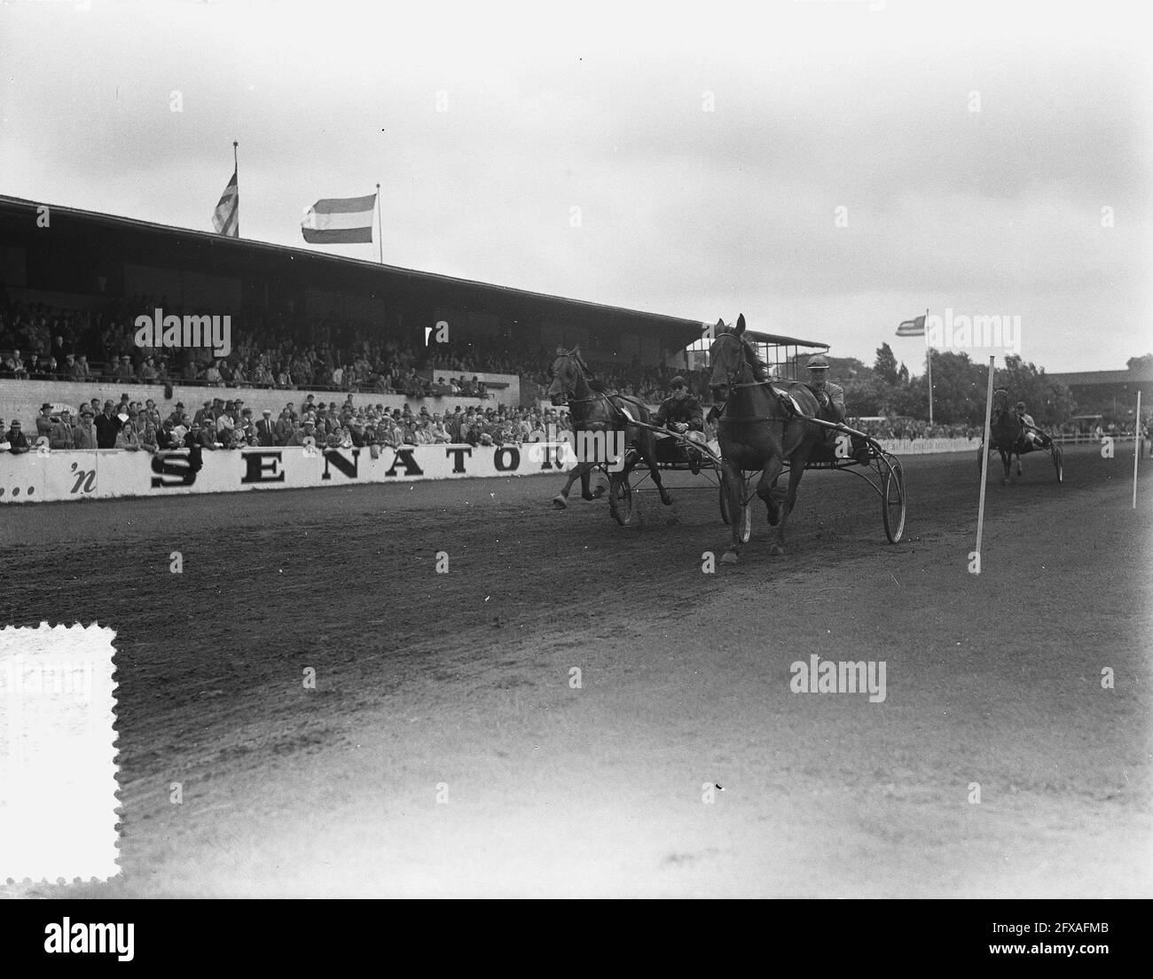 Trotting track hi-res stock photography and images - Alamy