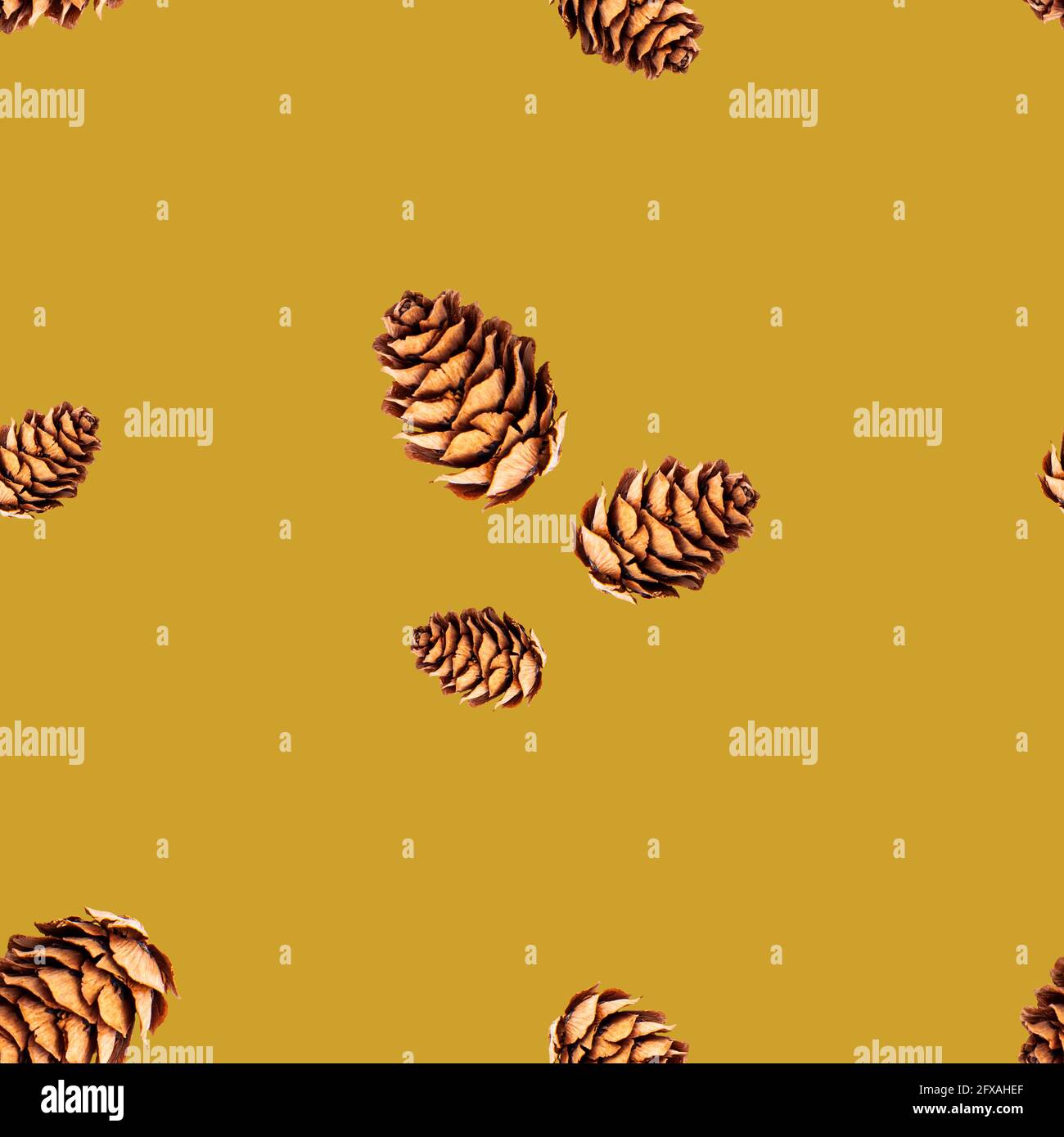 Pinecone background hi-res stock photography and images - Alamy
