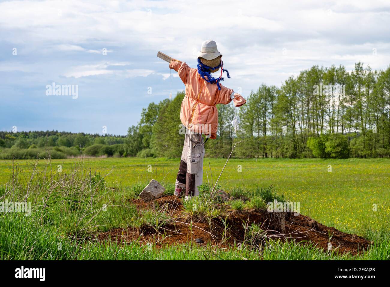 A scarecrow standing in a field wearing an orange jacket, meadow and ...