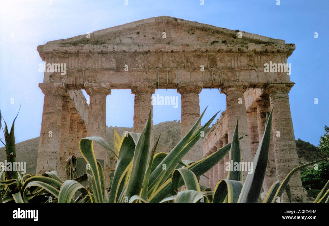 Trapani.The Doric temple of Segesta Stock Photo - Alamy