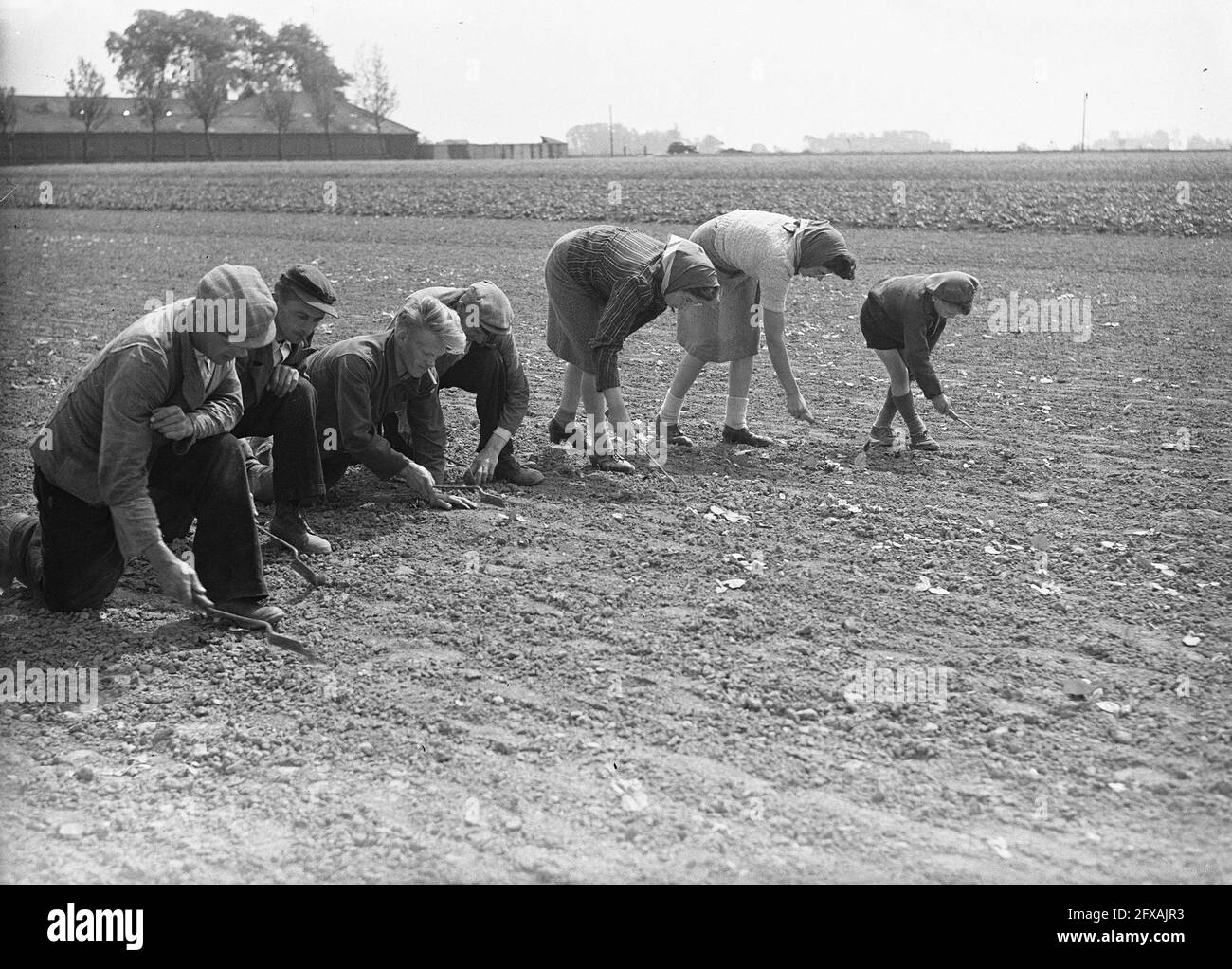 Crowded farm business Black and White Stock Photos & Images - Alamy