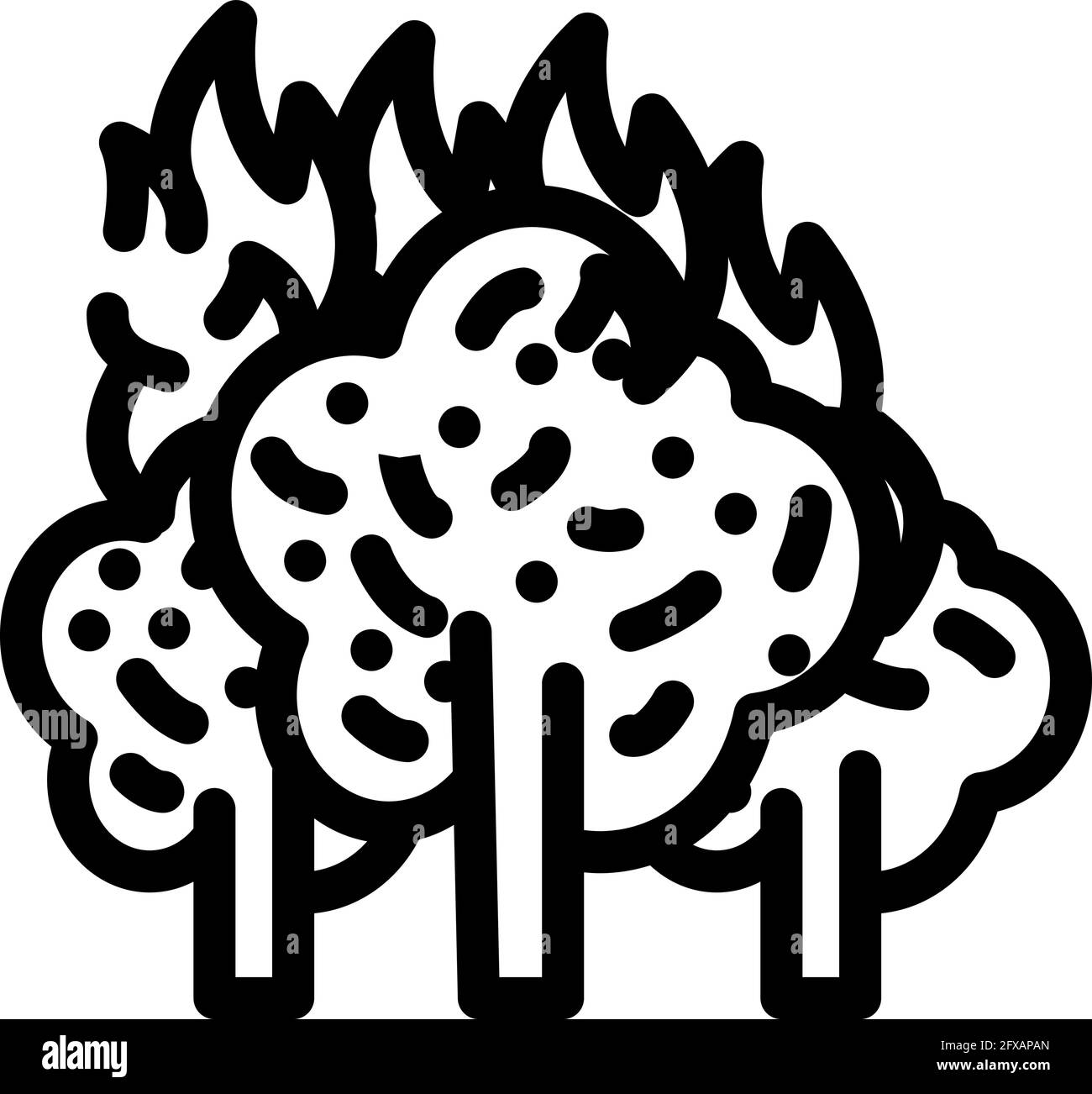 Fire rain forest Black and White Stock Photos & Images - Alamy