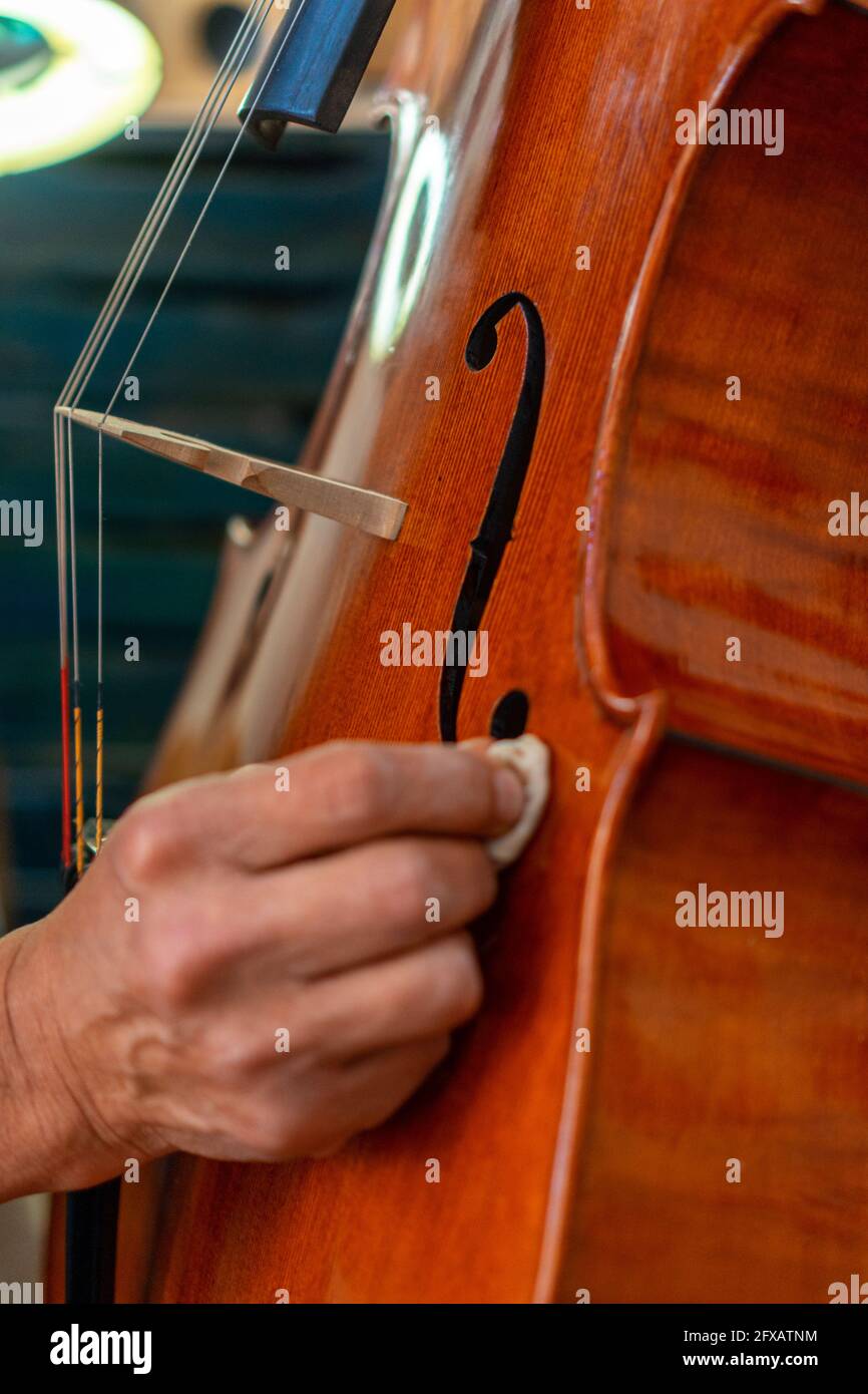 Cello Making by Master Luthier Carlos Roberts Stock Photo - Alamy