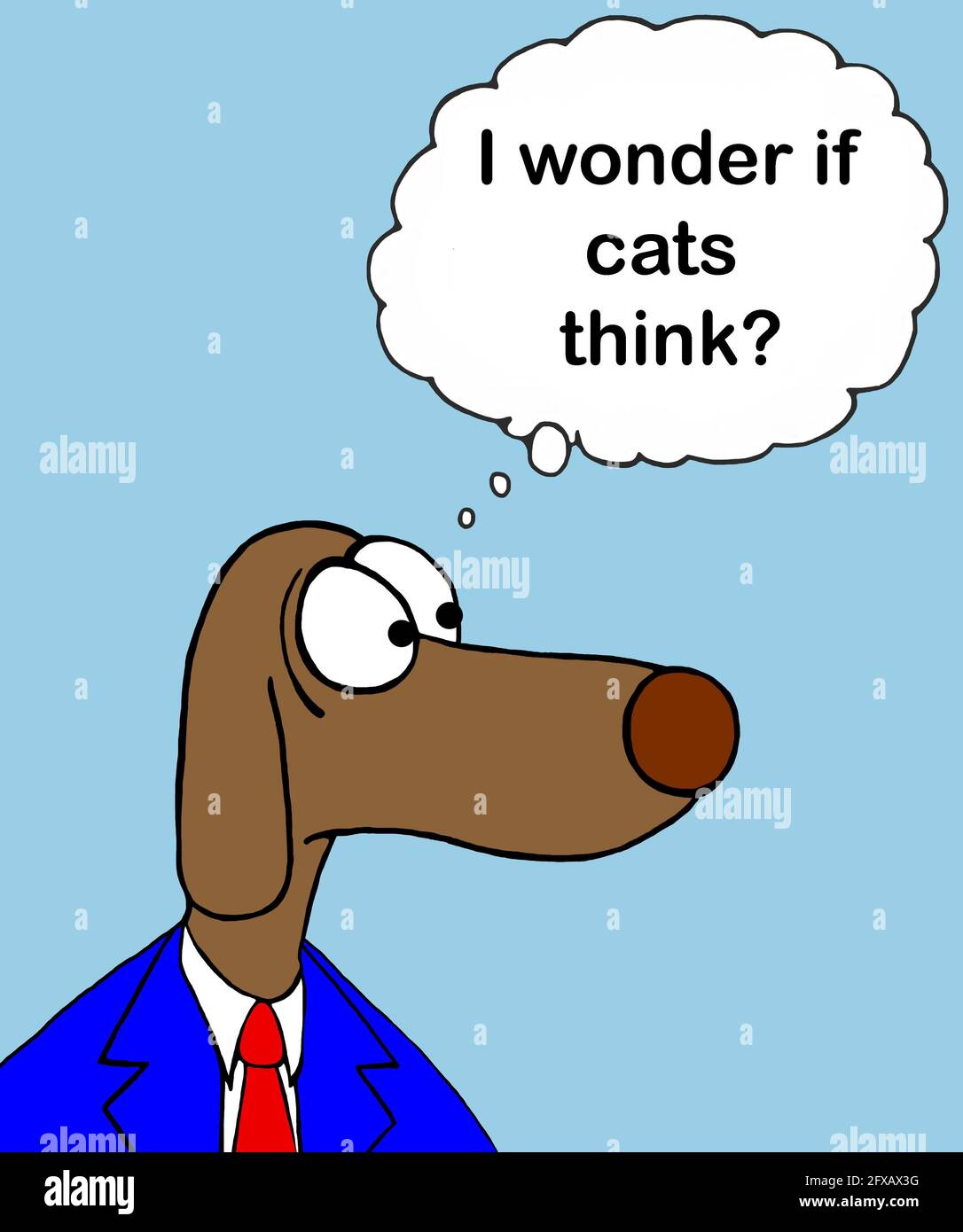 Self confidence and cat hi-res stock photography and images - Alamy