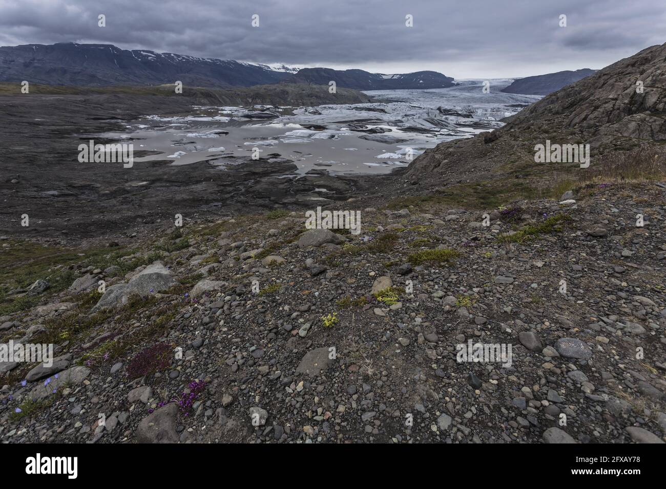 Hoffell glacier hi-res stock photography and images - Alamy