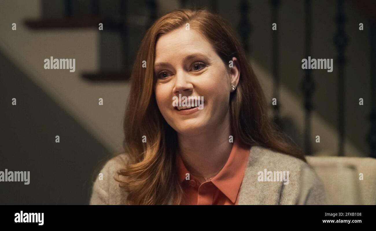 Amy Adams High School